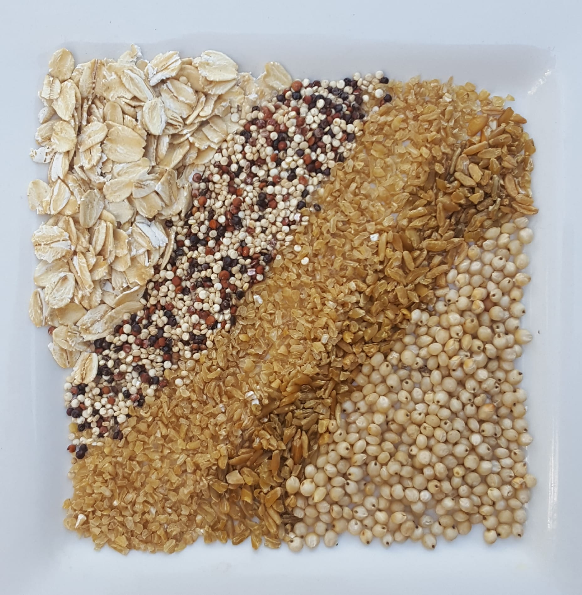 Nutrition Trends 2022 - Amy's Nutrition Kitchen
