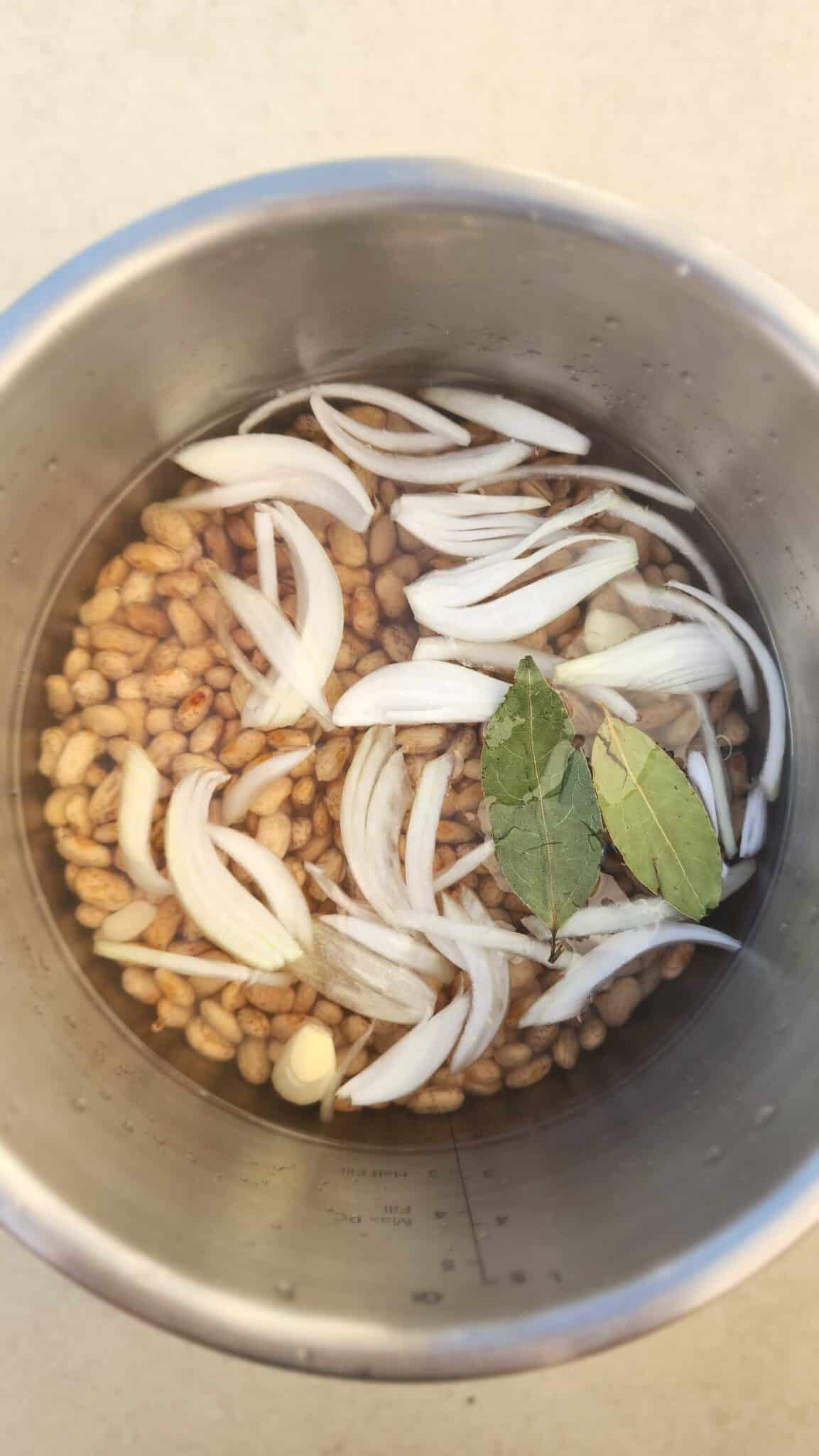 Homemade Pinto Beans - Amy's Nutrition Kitchen