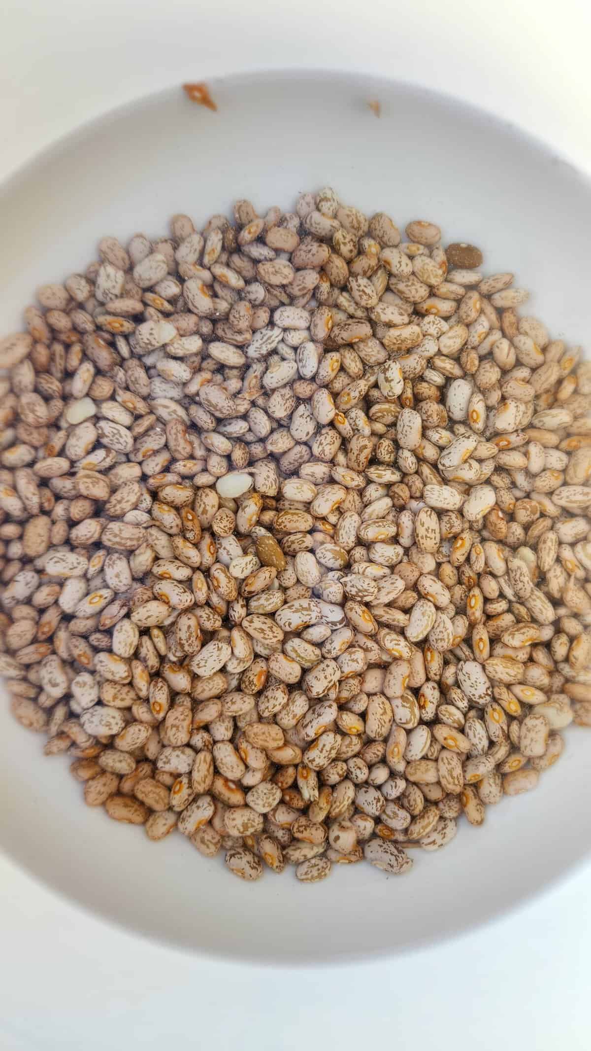 Homemade Pinto Beans - Amy's Nutrition Kitchen
