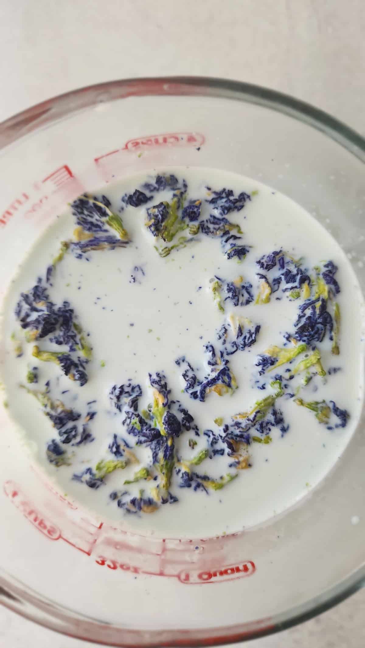 Butterfly Pea Flower Ice Cream - Amy's Nutrition Kitchen