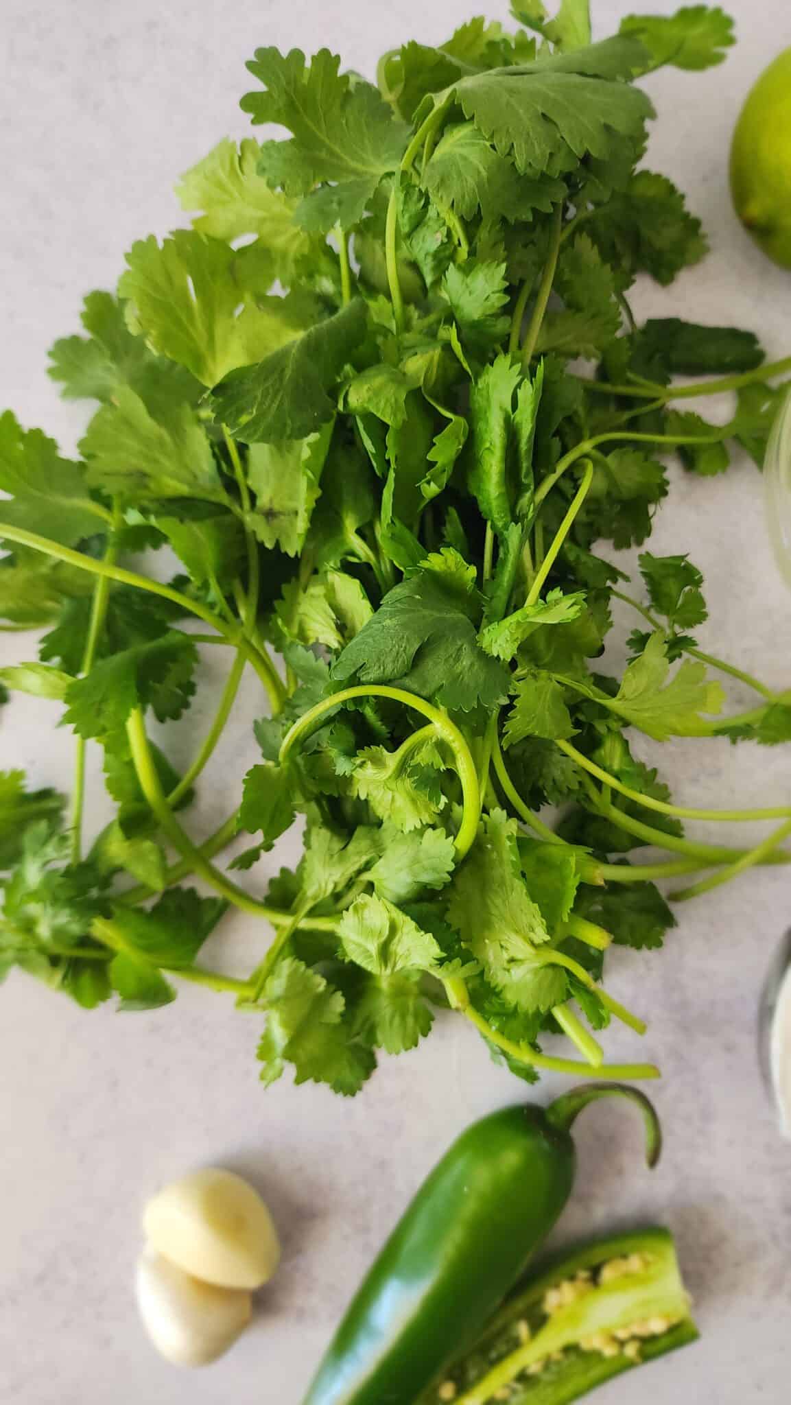 Cilantro Jalapeño Sauce - Amy's Nutrition Kitchen
